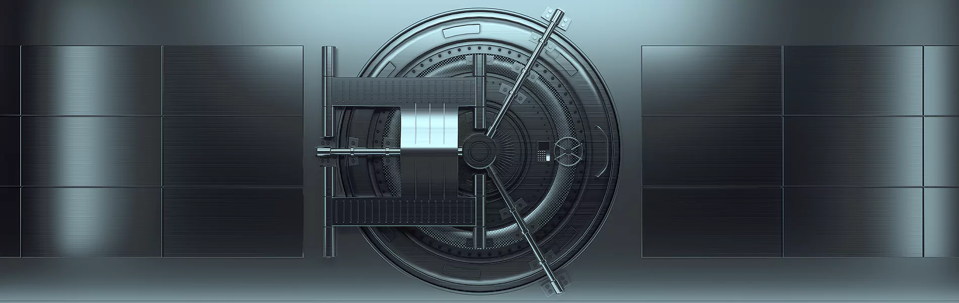 Vault Installation Horizon - Safe Vault Installation